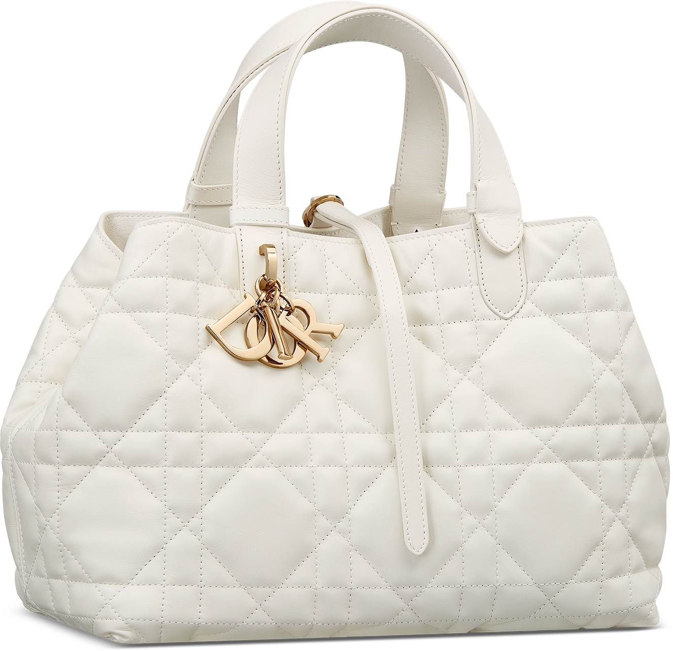 迪奥女士托特包-Dior Book Tote手袋-女士手提包-迪奥购物袋-DIOR迪奥中国官方网站 | DIOR